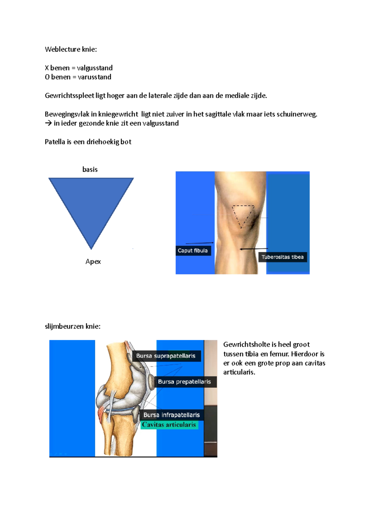WL KNIE - WL knie blok 2 taak 1 - Weblecture knie: X benen ...