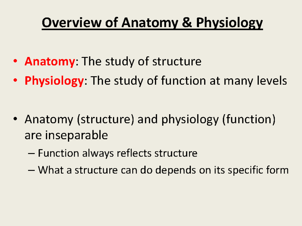 Lecture notes, lecture 10 - Slides - Overview of Anatomy Physiology ...