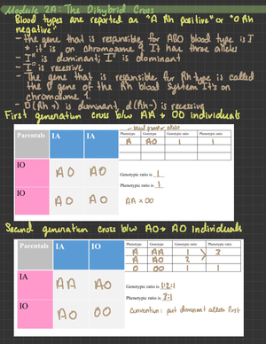 Module 8 Mutations, Complementation, DNA Repair, and Recombination - It ...