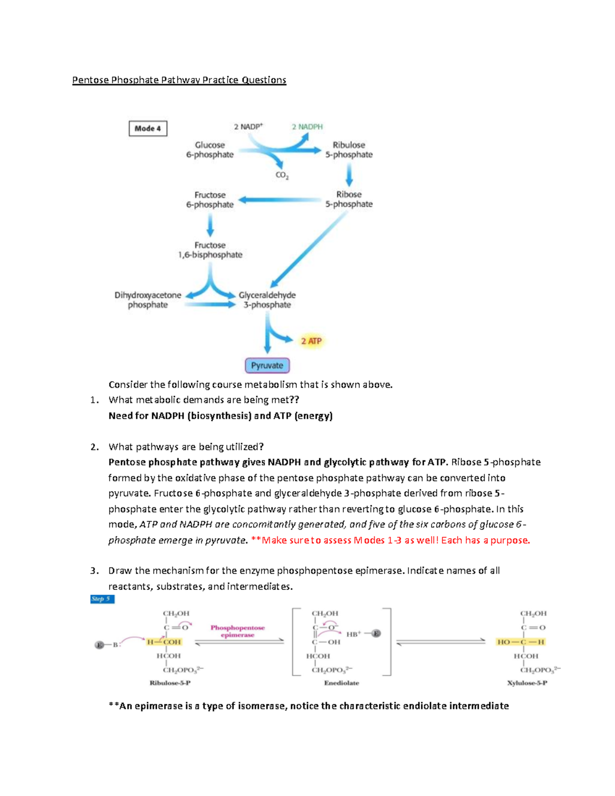 4 PPP Practice Questions KEY - Pentose Phosphate Pathway Practice ...