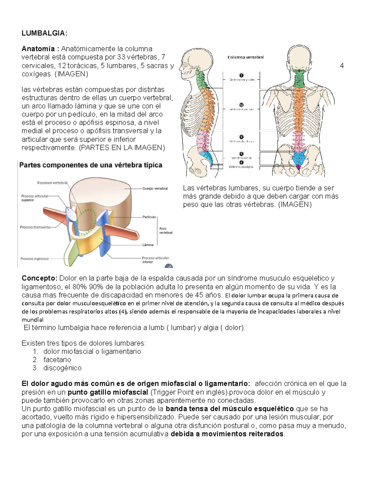 Lumbalgia - DOLOR LUMBAR EN ORTOPEDIA - LUMBALGIA: Anatomía ...