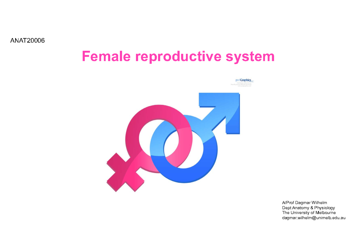 5 ANAT2000 6 Female reproductive system-2021 S2-for upload - ANAT A ...