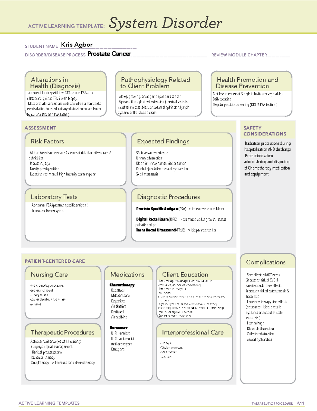 Prostate Cancer Kris - medsurg - ACTIVE LEARNING TEMPLATES THERAPEUTIC ...