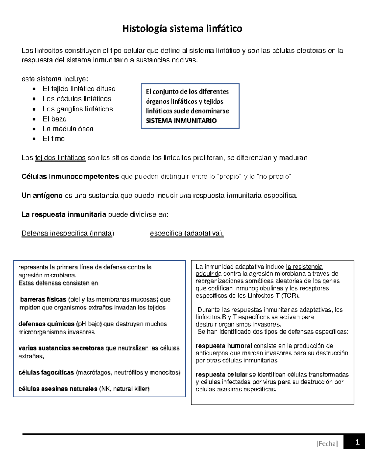 Sistema Linfatico histología - Warning: TT: undefined function: 32 Histología sistema linfático ...
