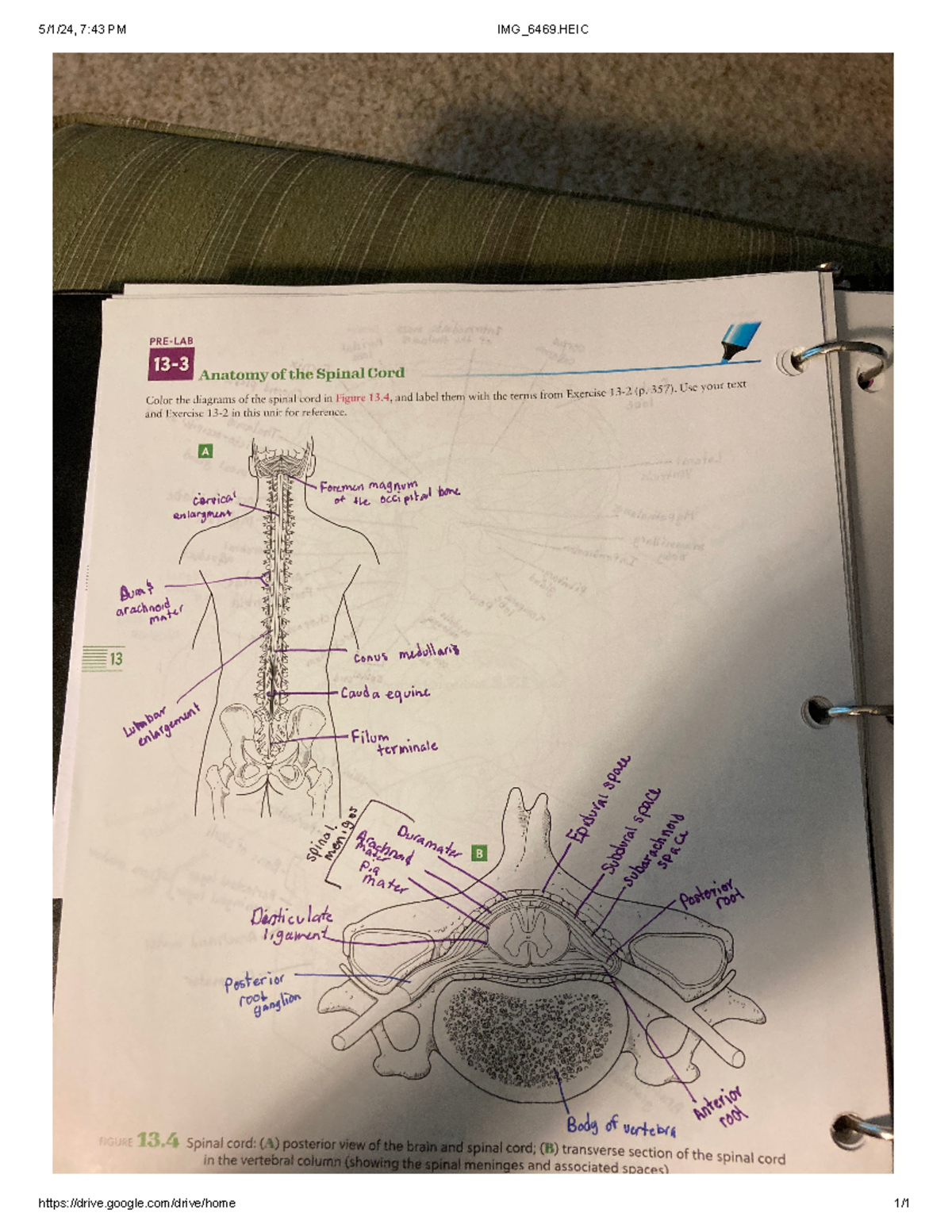 IMG 6469 - Notes - APHY101 - 5/1/24, 7:43 PM IMG_6469 drive.google ...