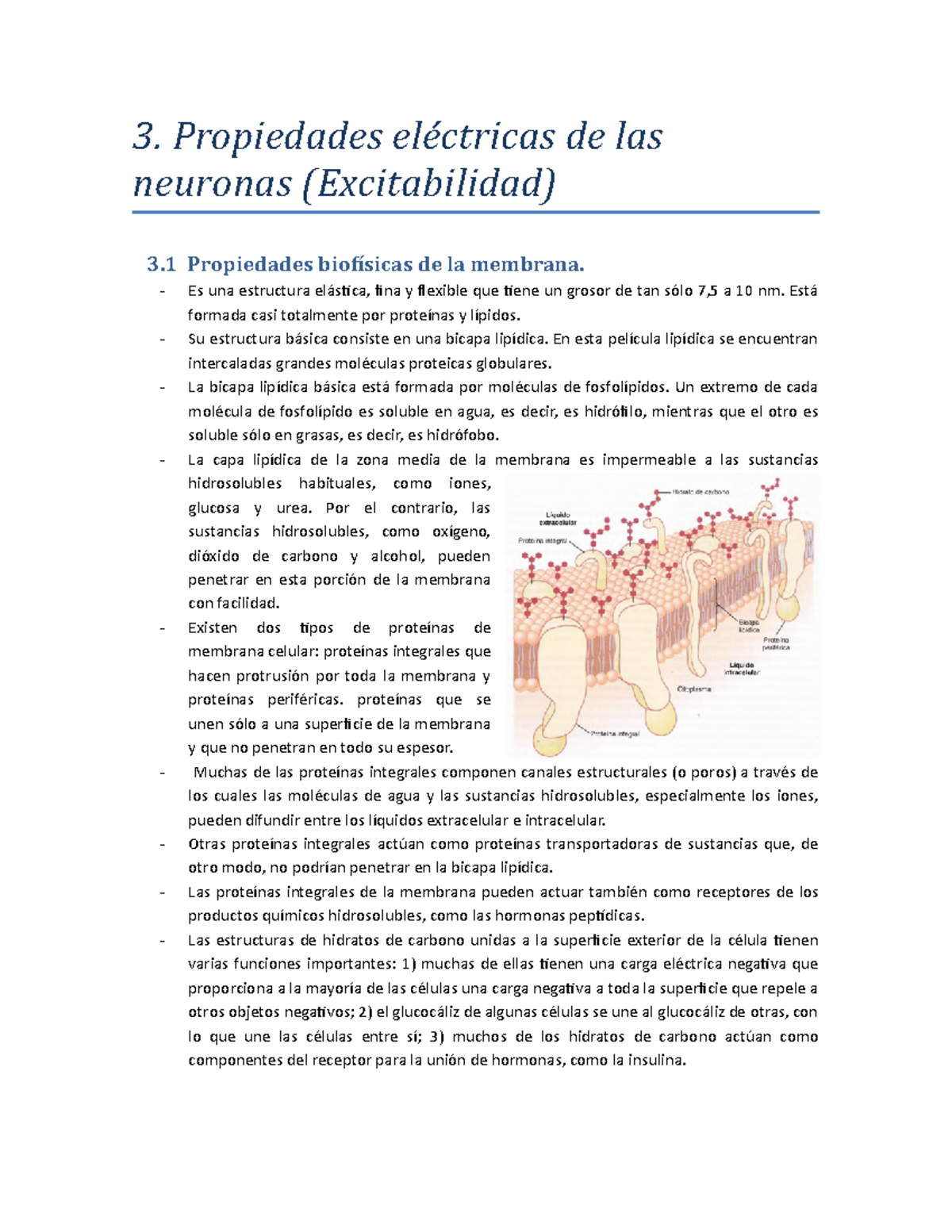 Excitabilidad neuronal - 3. Propiedades de las neuronas (Excitabilidad ...