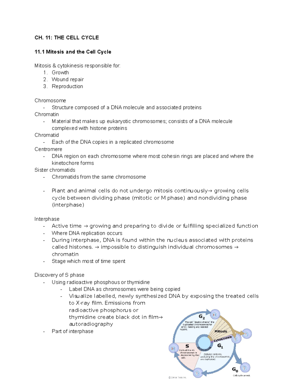 Biol 121 "The Cell Cycle" - CH. 11: THE CELL CYCLE 11 Mitosis and the ...
