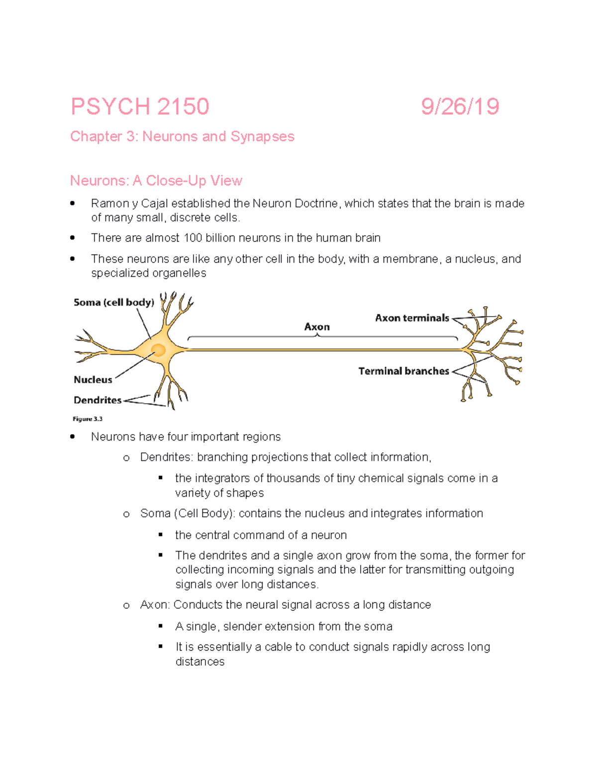 9:20:19 - Prof. R. Wellington - PSYCH 2150 9/26/ Chapter 3: Neurons and ...