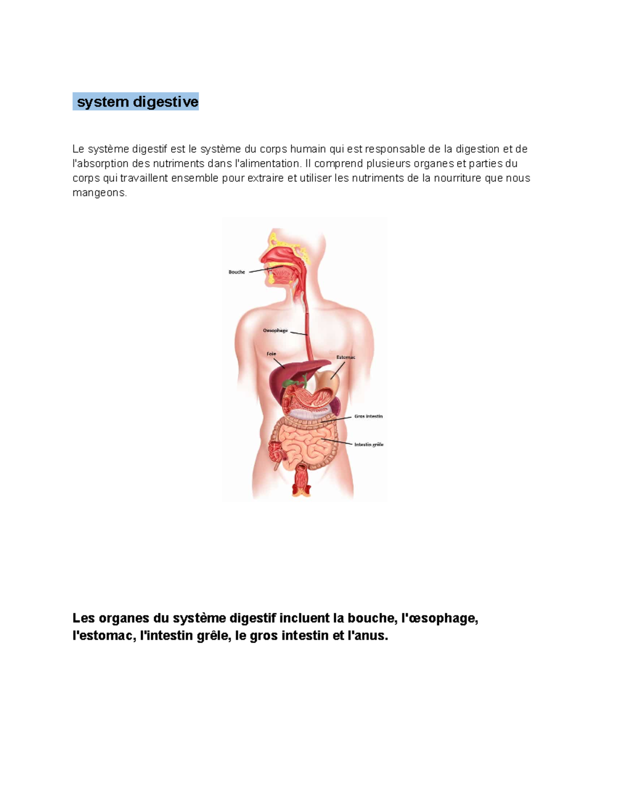 System digestive - system digestive Le système digestif est le système ...