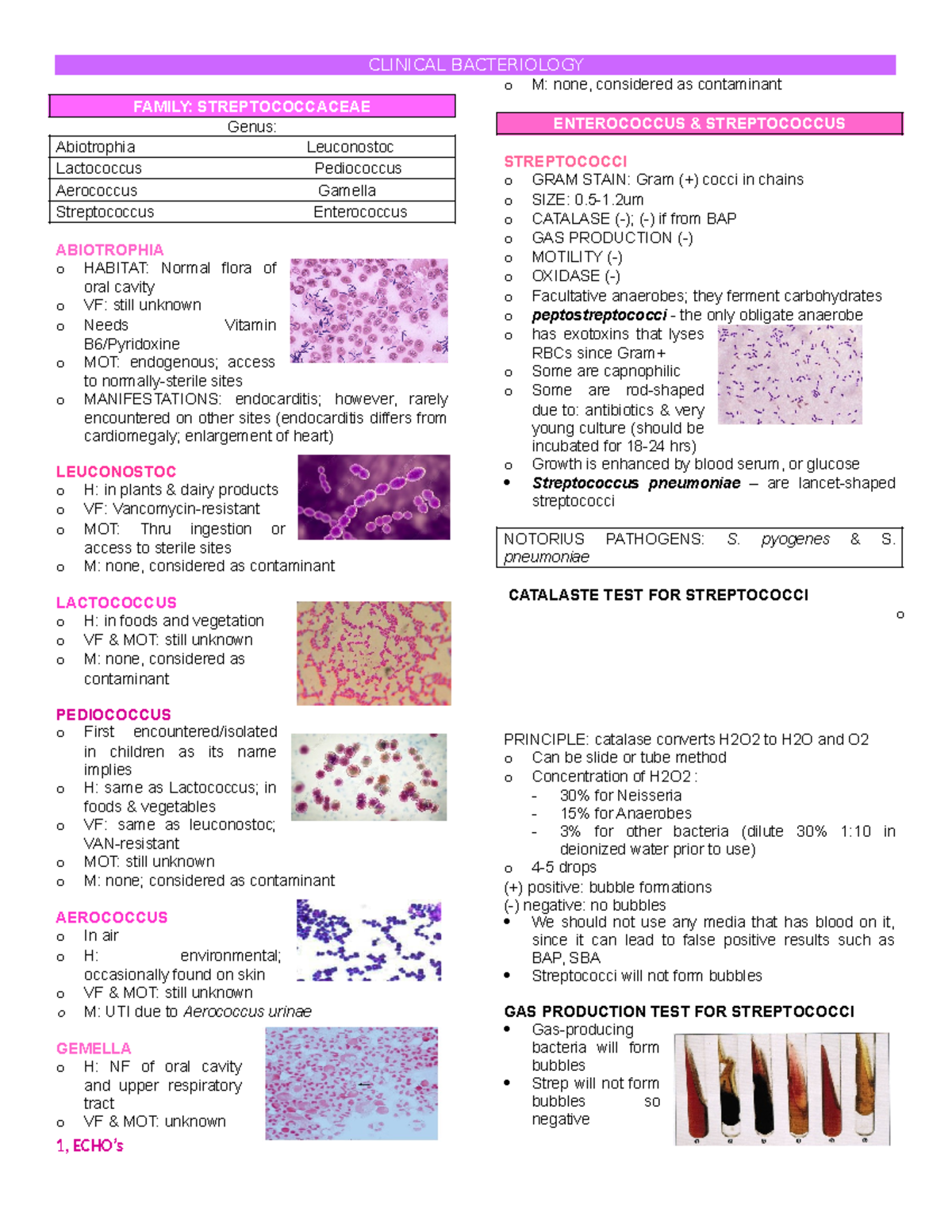 Bacte Strep - FAMILY: STREPTOCOCCACEAE Genus: Abiotrophia Leuconostoc ...