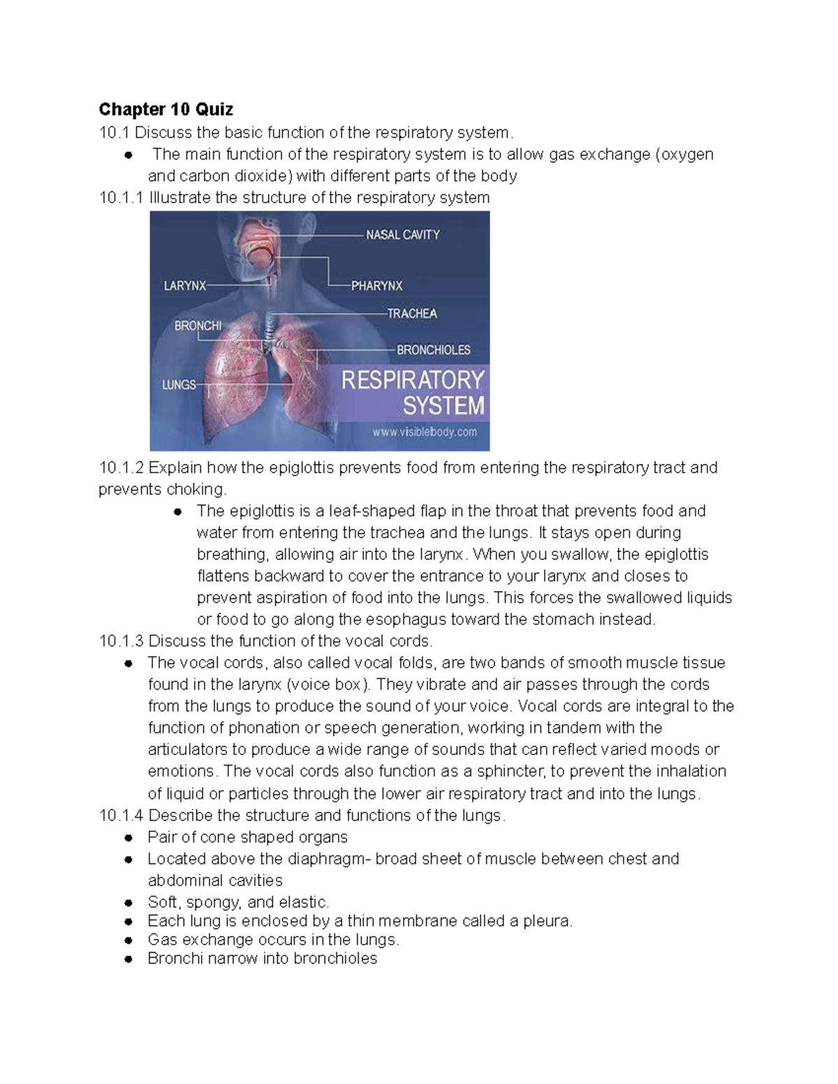Chapter 10 Bio - Chapter 10 Quiz 10 Discuss the basic function of the ...
