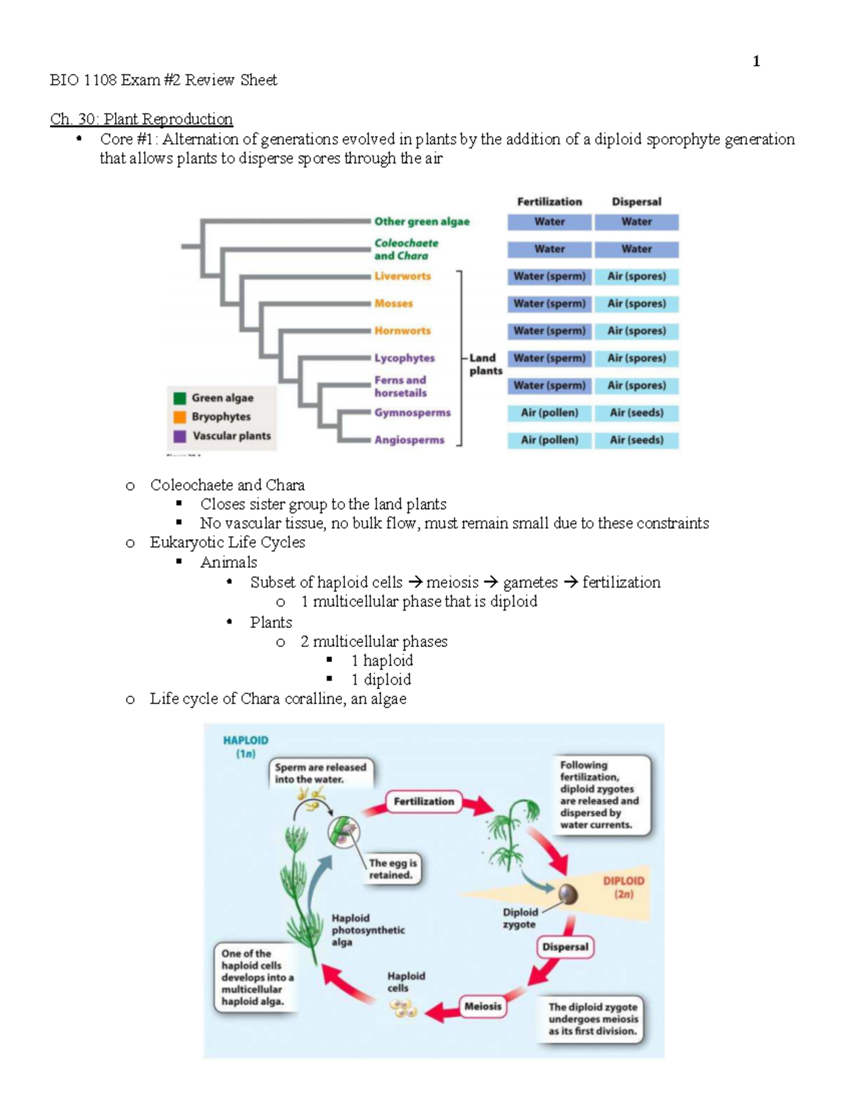Exam #2 Review Sheet - study guide for exam 2 - BIO 1108 Exam Review ...