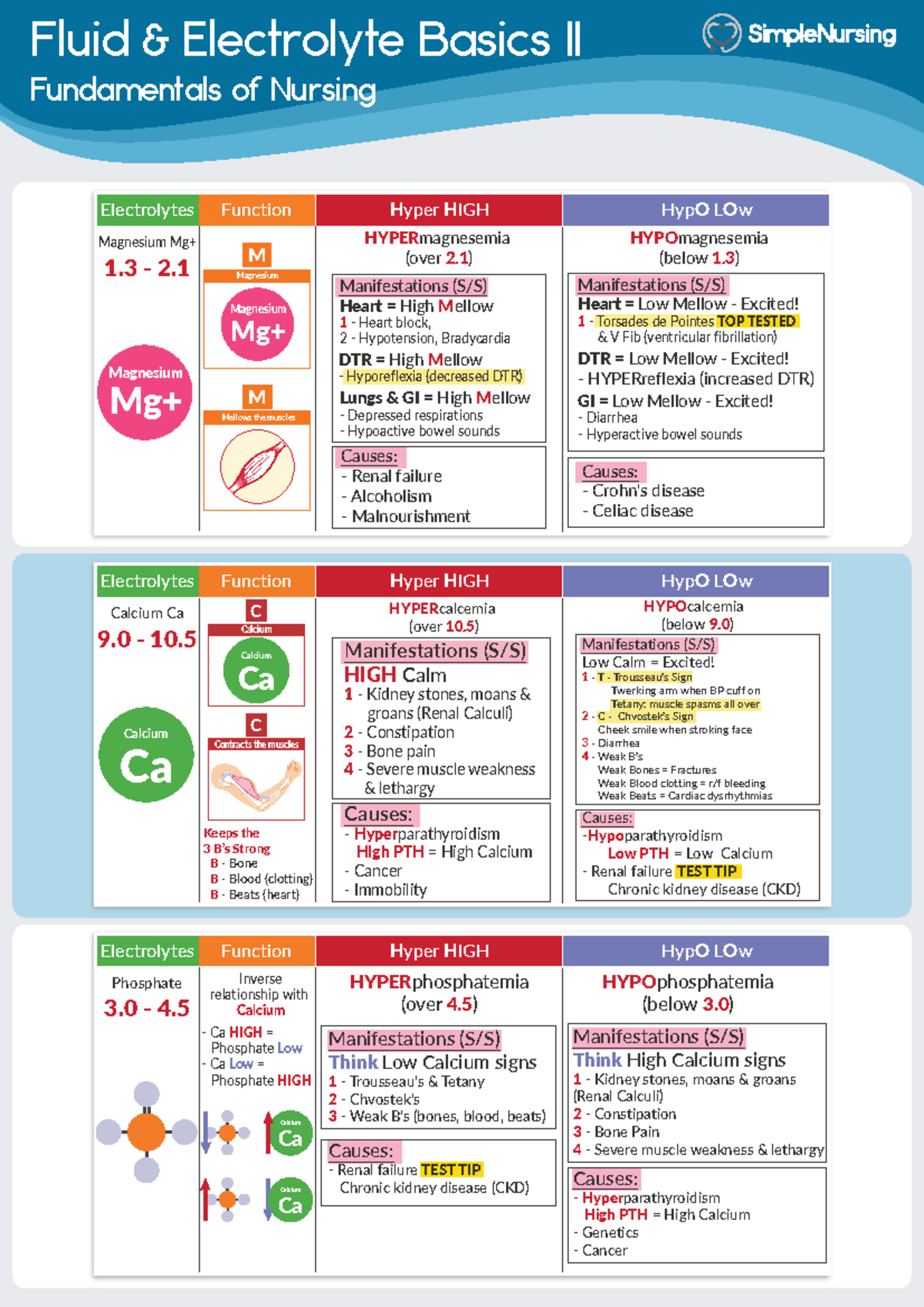 3 - Mag, Calcium, Phosphate - Fluid & Electrolyte Basics II ...