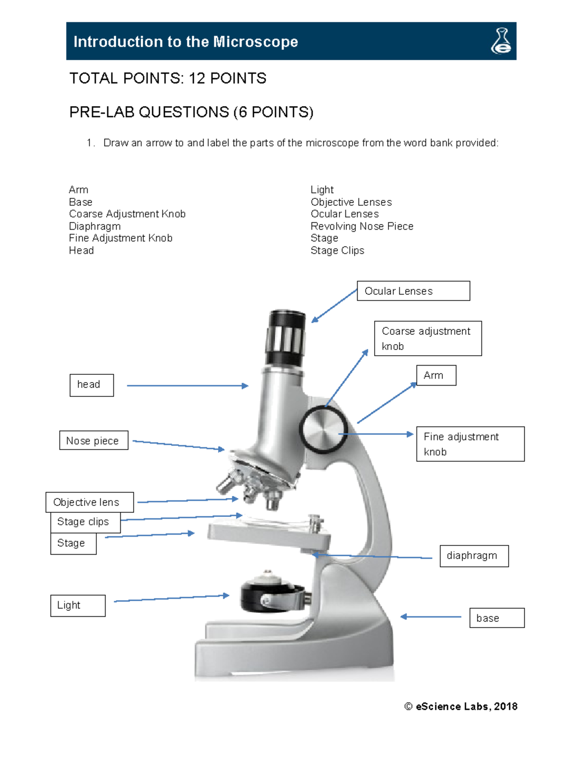 Microscope lab - escience labs - Introduction to the Microscope TOTAL ...
