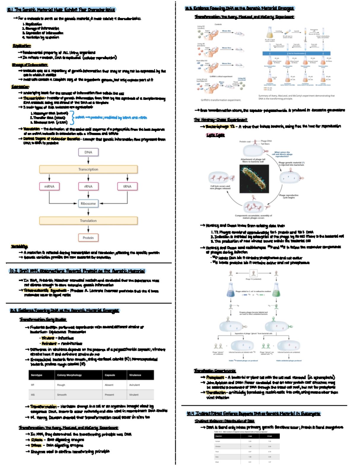 Chapter 10 DNA Structure and Analysis - 10 The Genetic Material Must ...