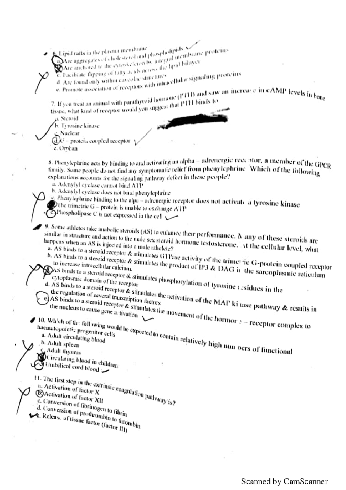 Physio First Quiz 1 Human Physiology Studocu