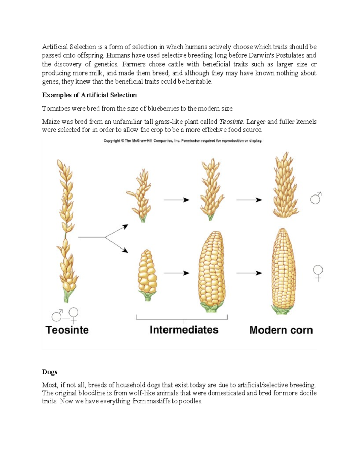 Artificl selection - a course related to evolution - Artificial ...