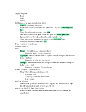 Biology 1020 Lab 9 - Questions - Lab 9 – Plant Adaptations Ms. Coffey ...