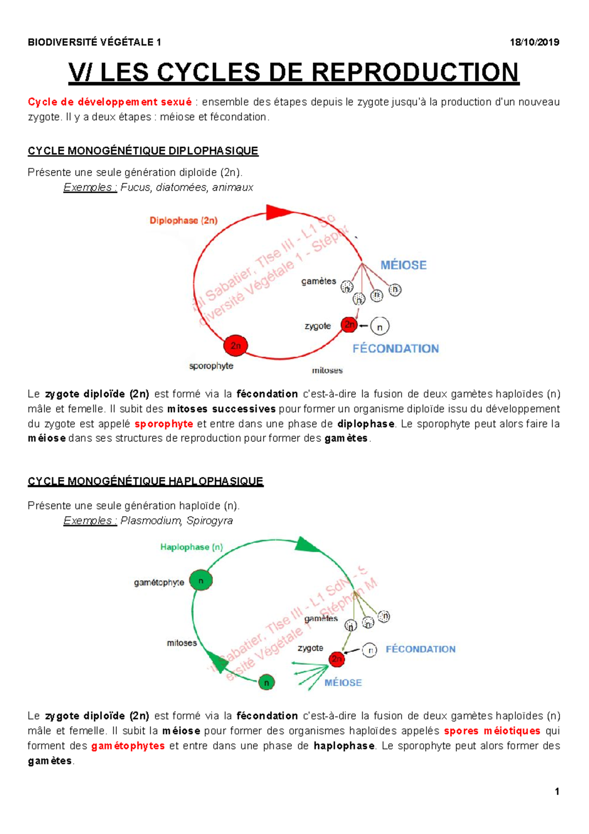 Cycles de reproduction L1 SDV - S1 - BIODIVERSITÉ VÉGÉTALE 1 18/10/ V ...