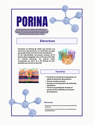 Soluciones - Solución dextrosa al 5% Composición: Cada 100 ml ...