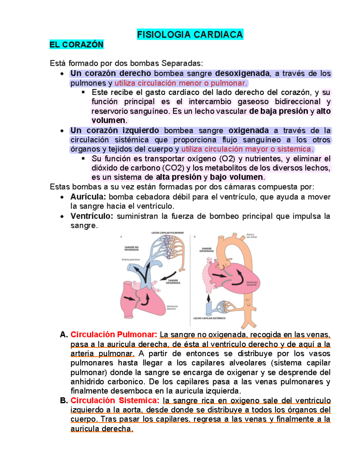 Fisiologia Cardica Resumen - FISIOLOGIA CARDIACA EL CORAZÓN Está ...