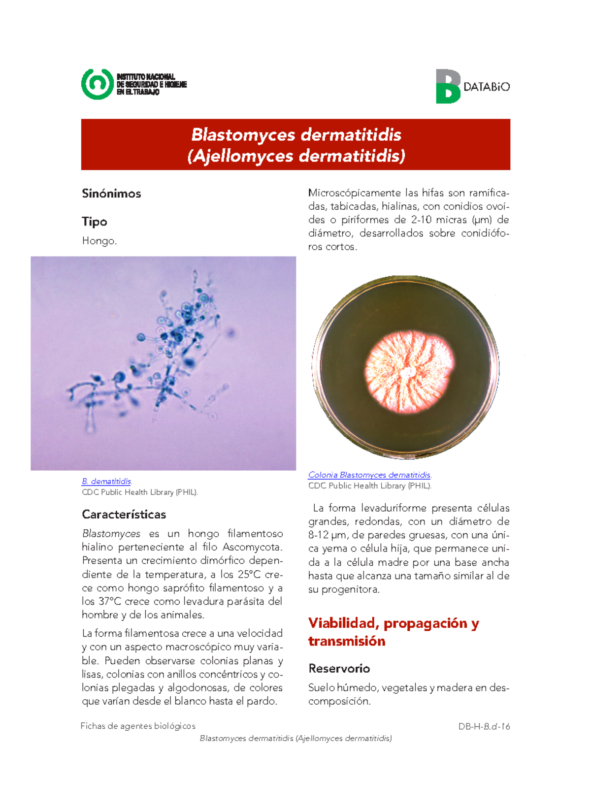 Blastomyces dermatitidid 2017 - D DATABiO D Blastomyces dermatitidis ...