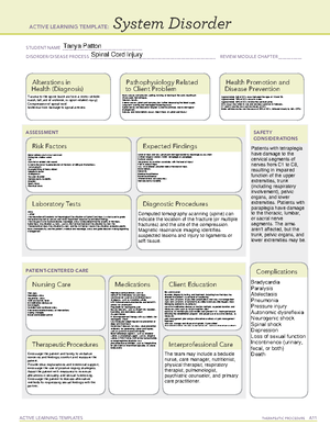 SIDS - System disorder sheet - ACTIVE LEARNING TEMPLATES System ...