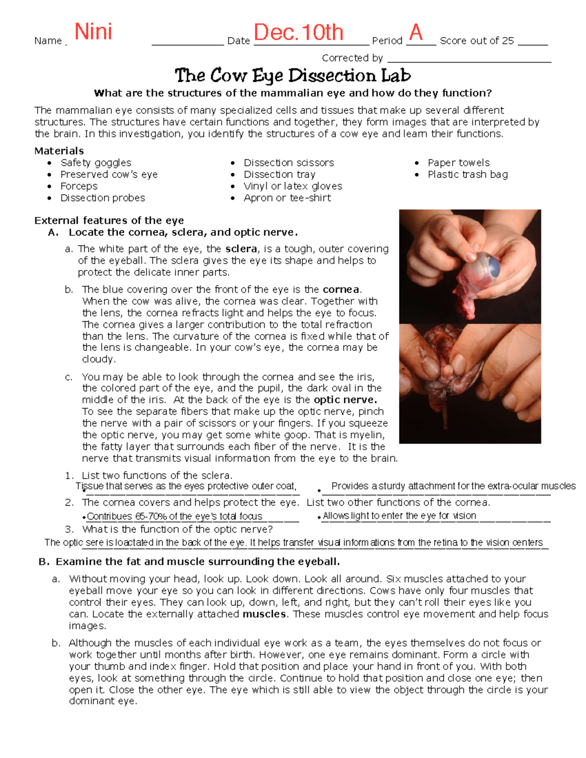 SNC2D Optics Cow Eye Dissection - Name __________________________ Date