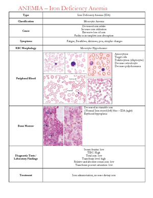 Study Manuel - Leukemia - LEUKEMIA – AML (M0) Type Acute Myeloid ...