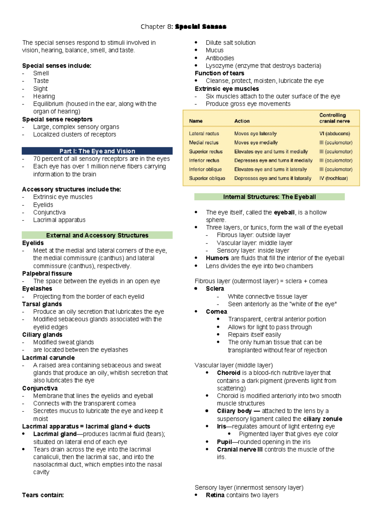 BSC- Chapter-8 - Human Anatomy and Physiology - Chapter 8: Special ...