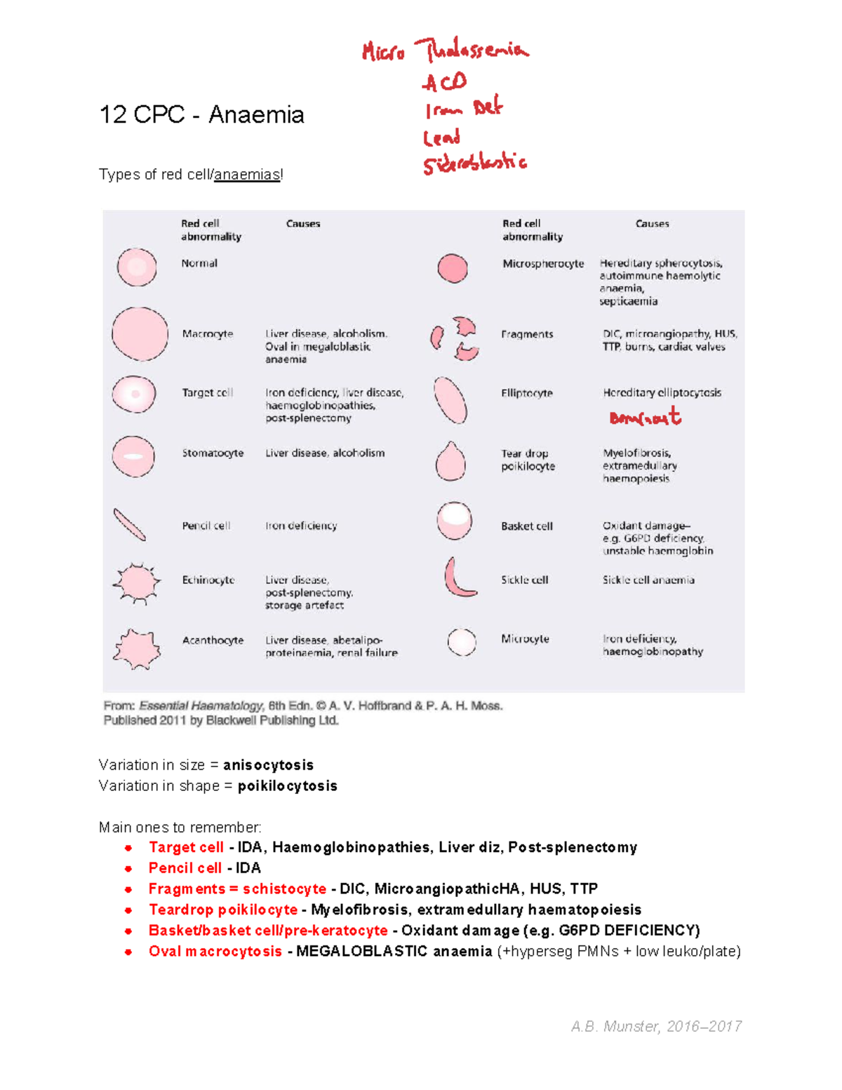 12 CPC - Anaemia - 12 CPC - Anaemia Types of red cell/ anaemias ...