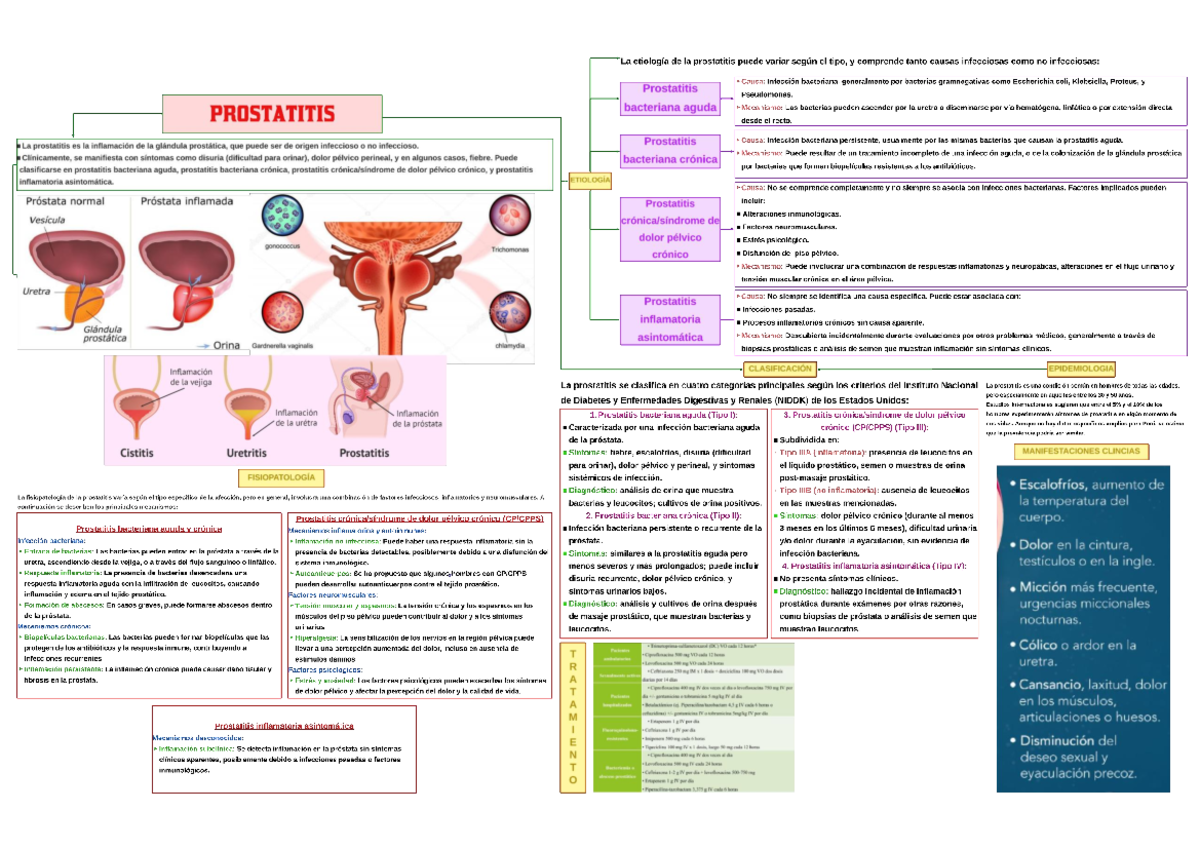 OV 14 - MAPA Conceptual IIIre - La etiología de la prostatitis puede ...