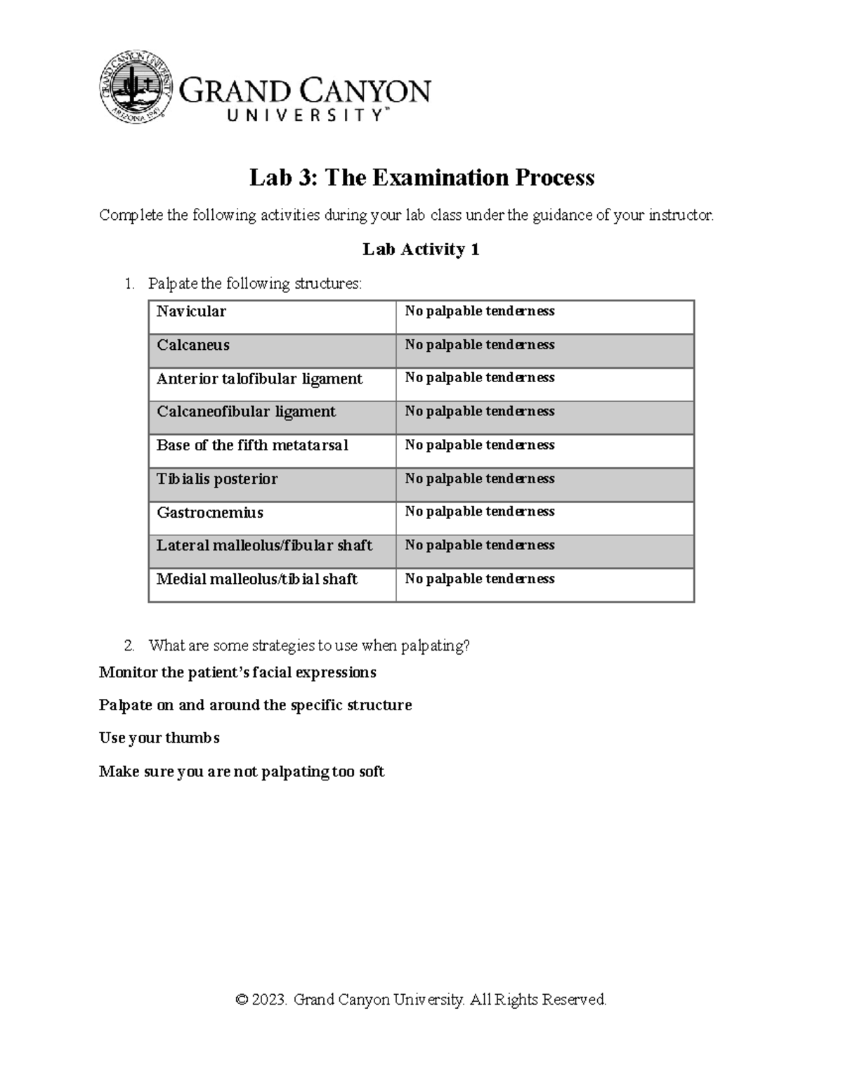 LAB 3- THE Examination Process - Lab 3: The Examination Process ...