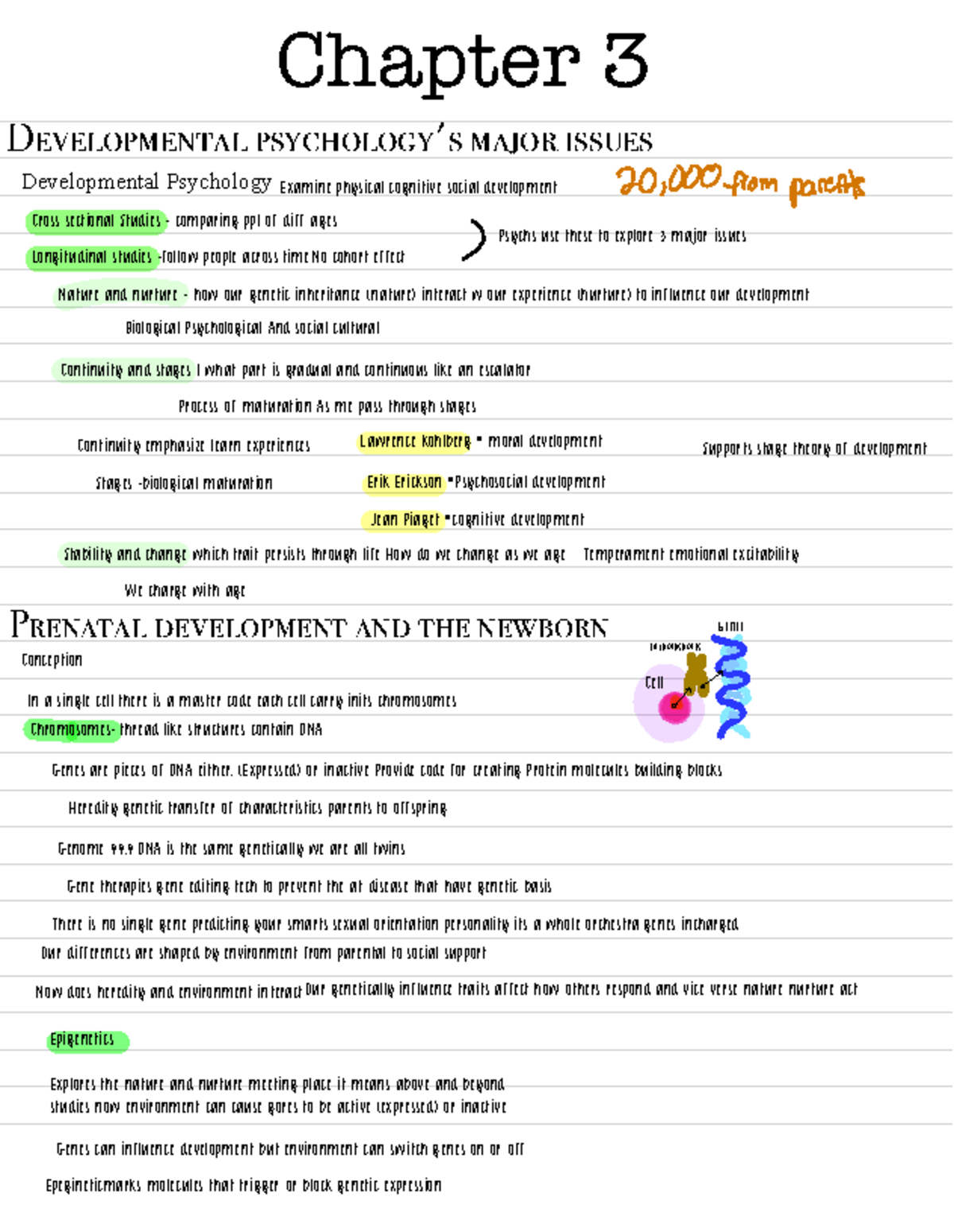 Intro-To-Psch - intro to psychology chapter 3 - Chapter 3 Developmental psychology's major ...