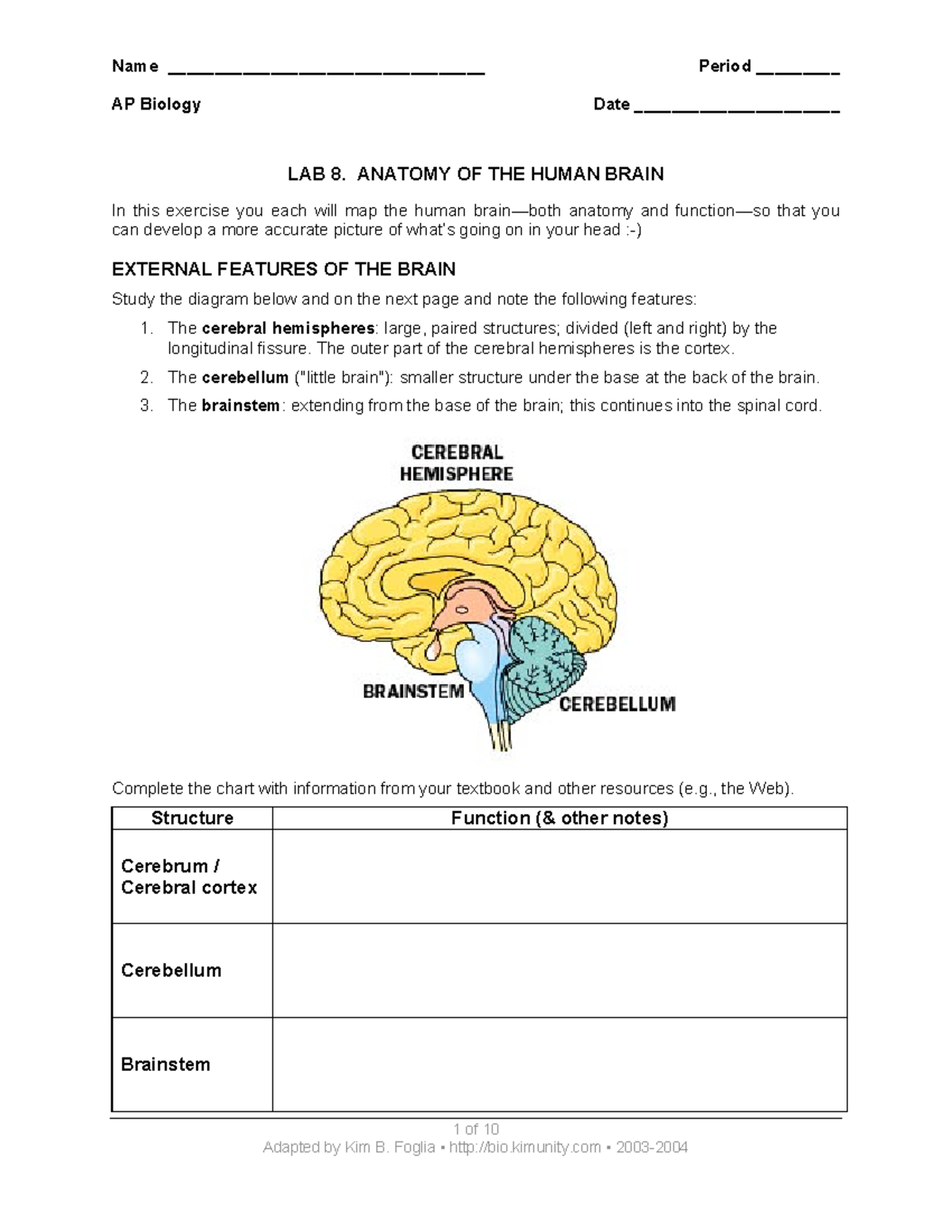 08Lab Brain Anatomy - Dr. Wafula - Name AP Biology Period Date LAB 8 ...