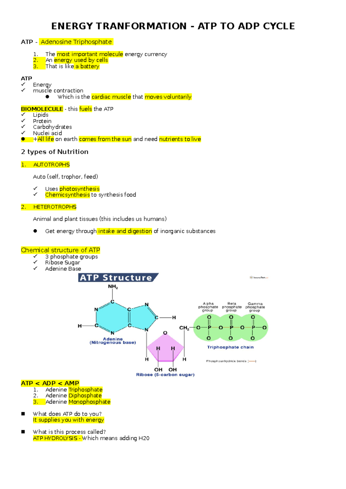 Genbio - ENERGY TRANFORMATION - ATP TO ADP CYCLE ATP - Adenosine Triphosphate 1. The most ...
