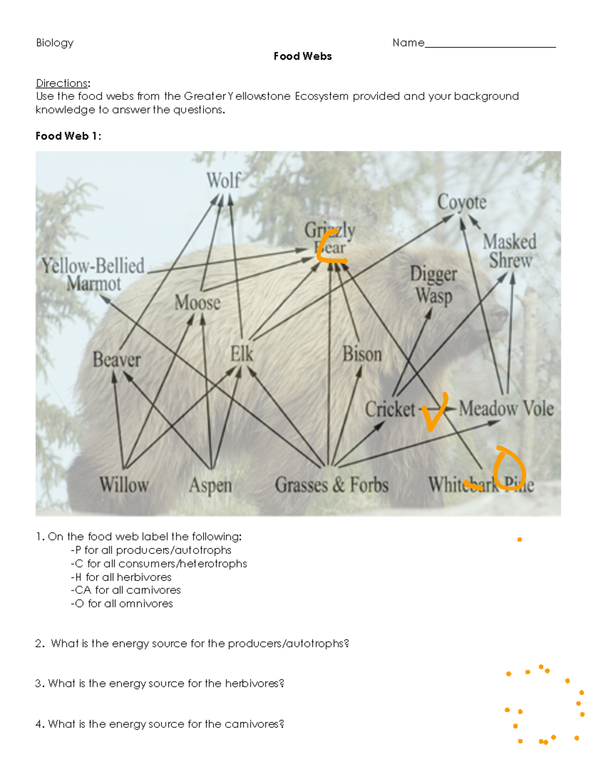 YNP Food Webs - Essential Cell Biology - ####### Biology Name