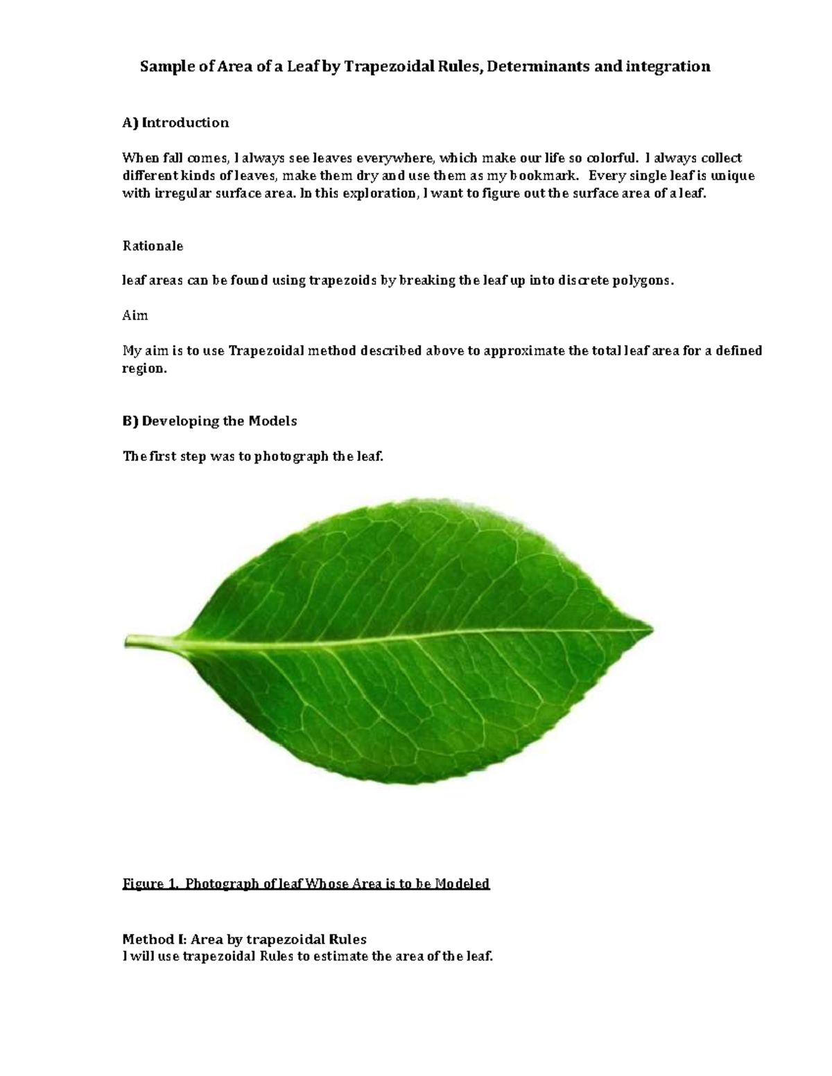 Sample of Area of a leaf - myytut - Sample of Area of a Leaf by ...