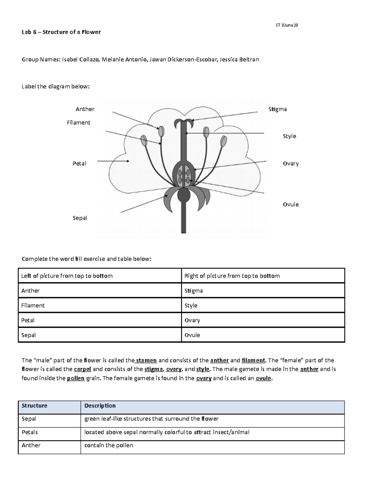 Completed Lab 6 - Flower ID Worksheet - ST 8June Lab 6 – Structure of a ...