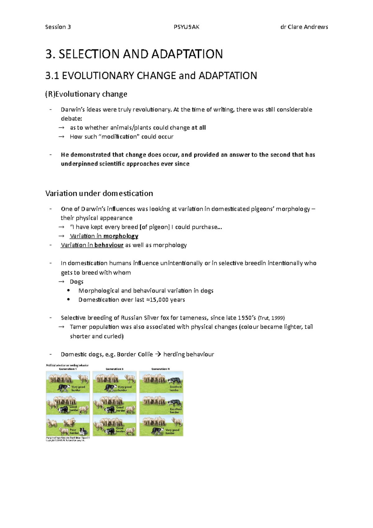 3. Selection AND Adaptation - 3. SELECTION AND ADAPTATION 3 ...