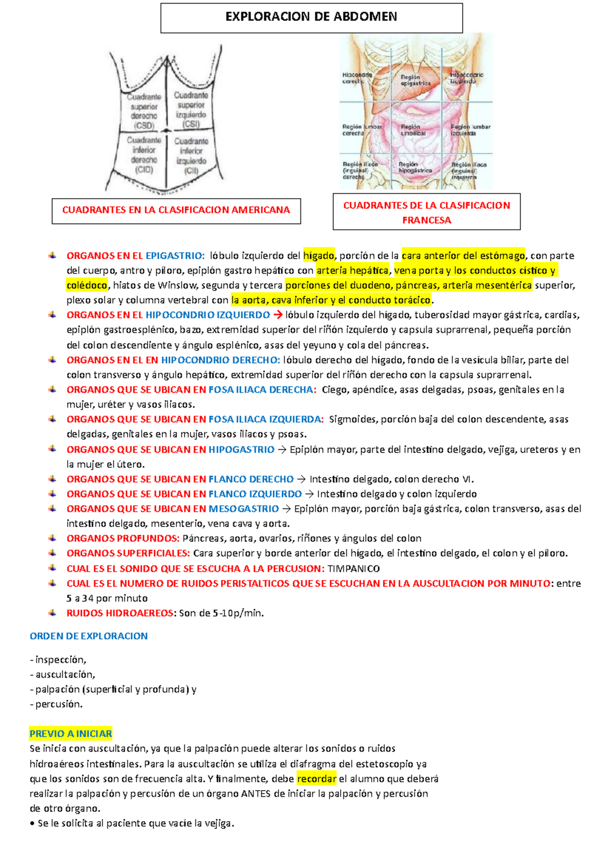 Exploracion DE Abdomen - ORGANOS EN EL EPIGASTRIO : lóbulo izquierdo ...