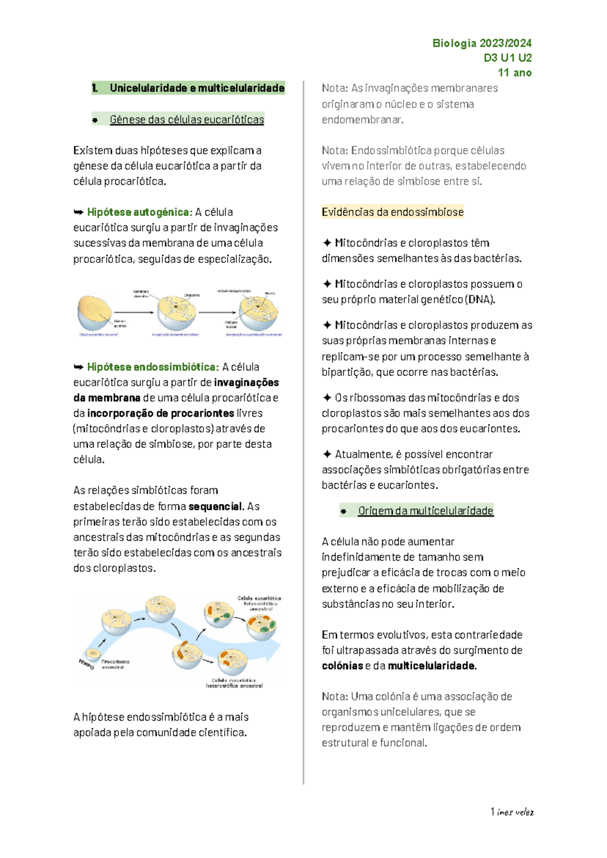 BIO -D3 U1 U2 - BIO -D3 U1 U2 11 ano tema: Unicelularidade e ...