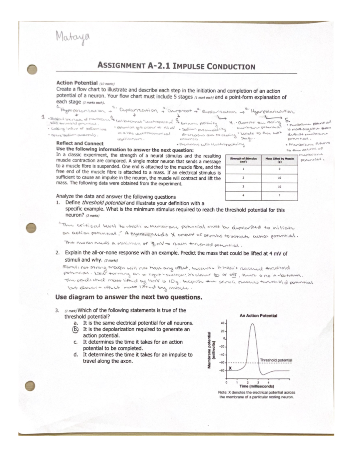 Mataya VH ~ A-2.1 Impulse Conduction - Mataya ASSIGNMENT IMPULSE CONDUCTION Action Potential (10 ...