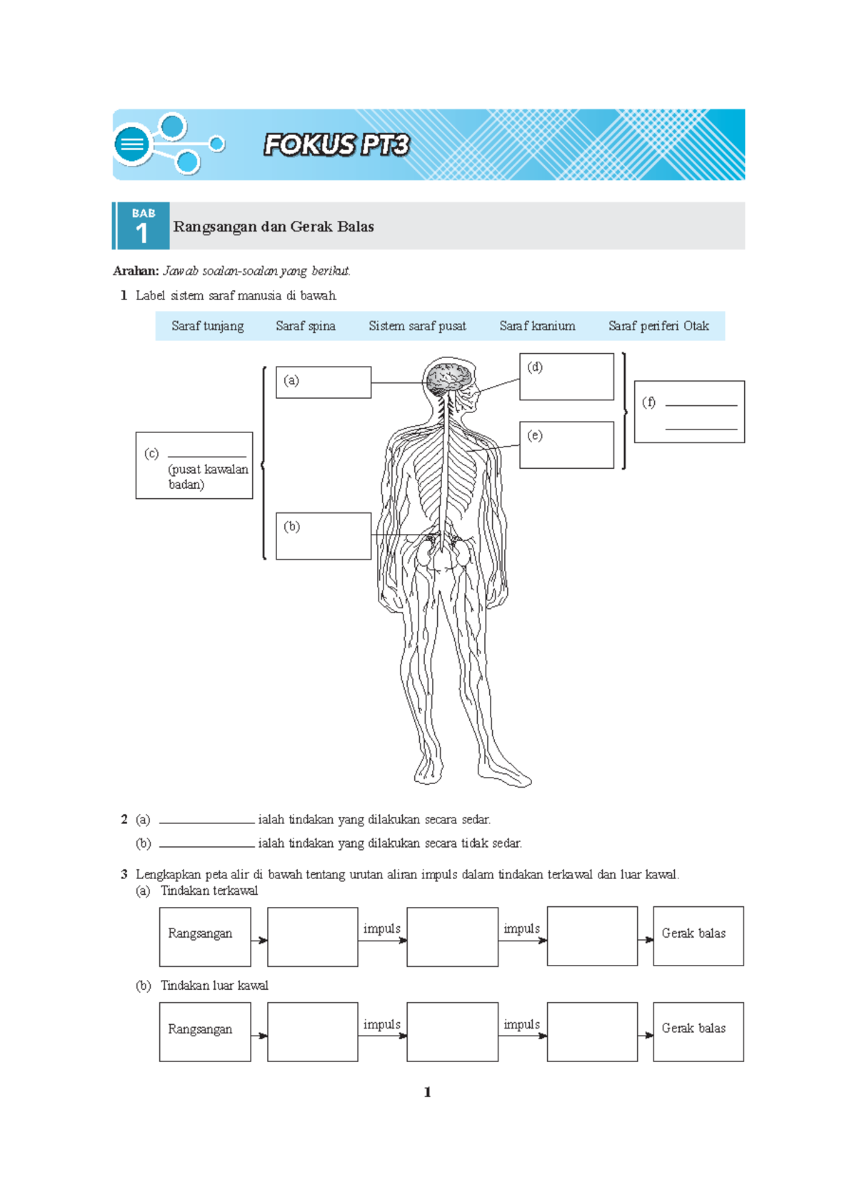 293a ulangkaji pt3 soalan bm T3 - Rangsangan dan Gerak Balas FOKUS PT3FOKUS PT3FOKUS PT BAB 1 ...