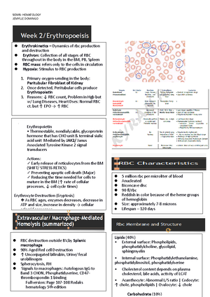 Leukocytes The Granulocytic and Monocytic Series - GRANULOCYTIC SERIES ...