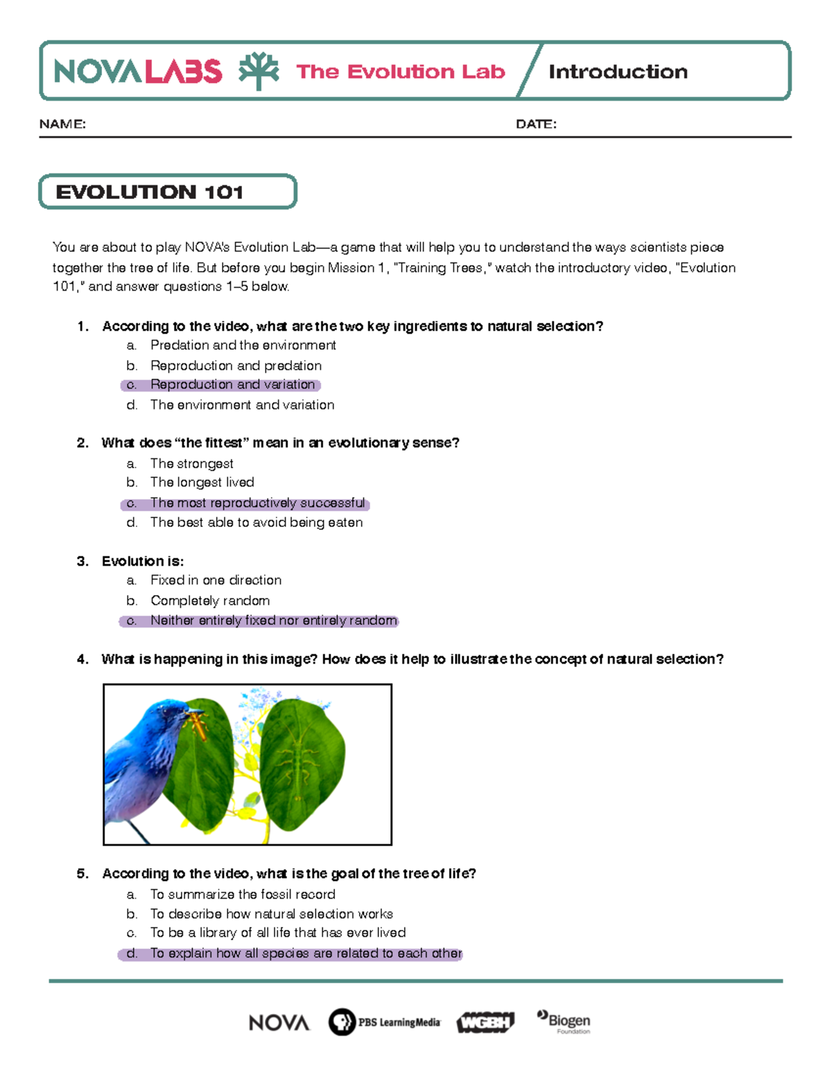 Nova Evolution Lab Evolution 101 & Missions 1-6(1) 2 - The Evolution ...