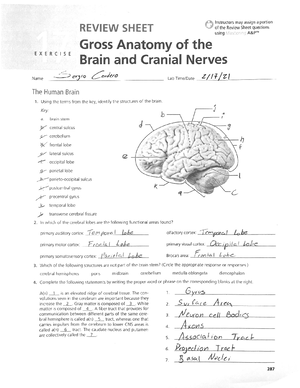 Anat discussion 9 - In this week’s episode of “Anatomy of a Mystery ...
