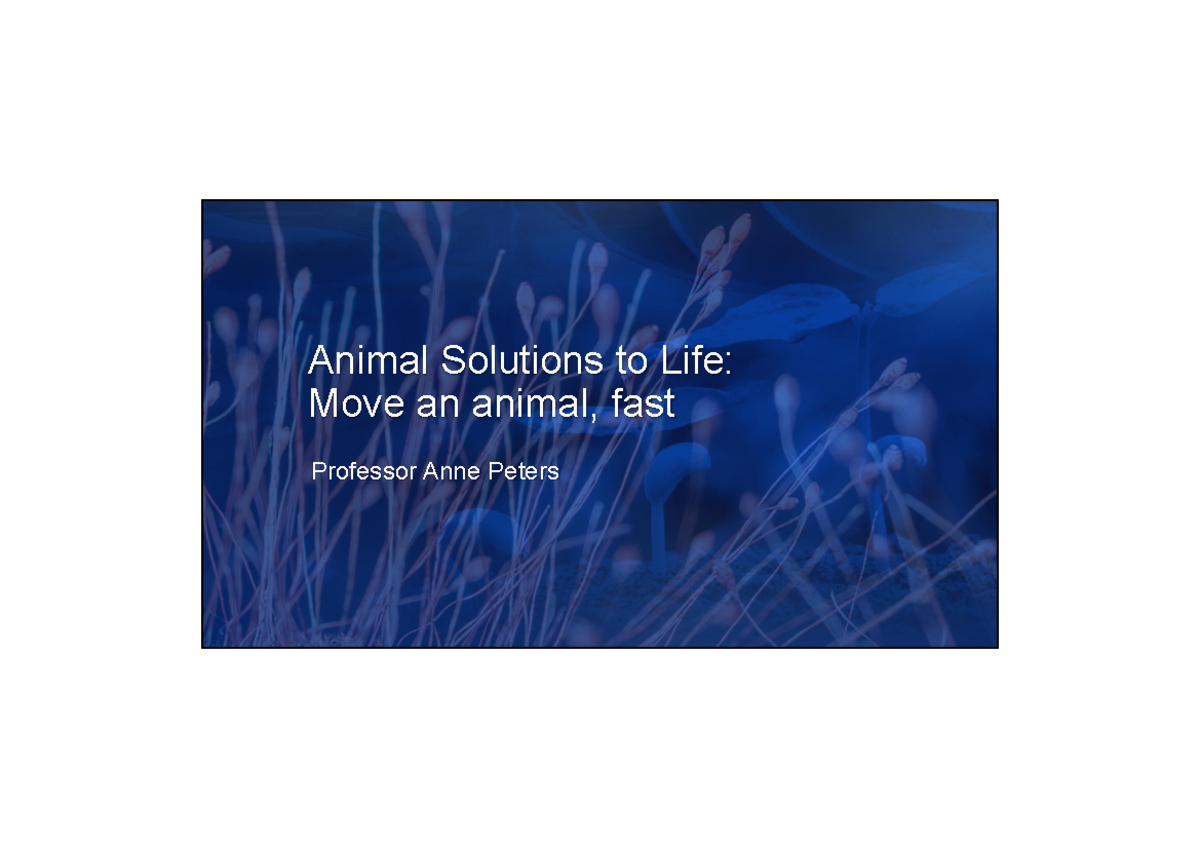 Mudpoint move the animal - Animal Solutions to Life: Move an animal ...