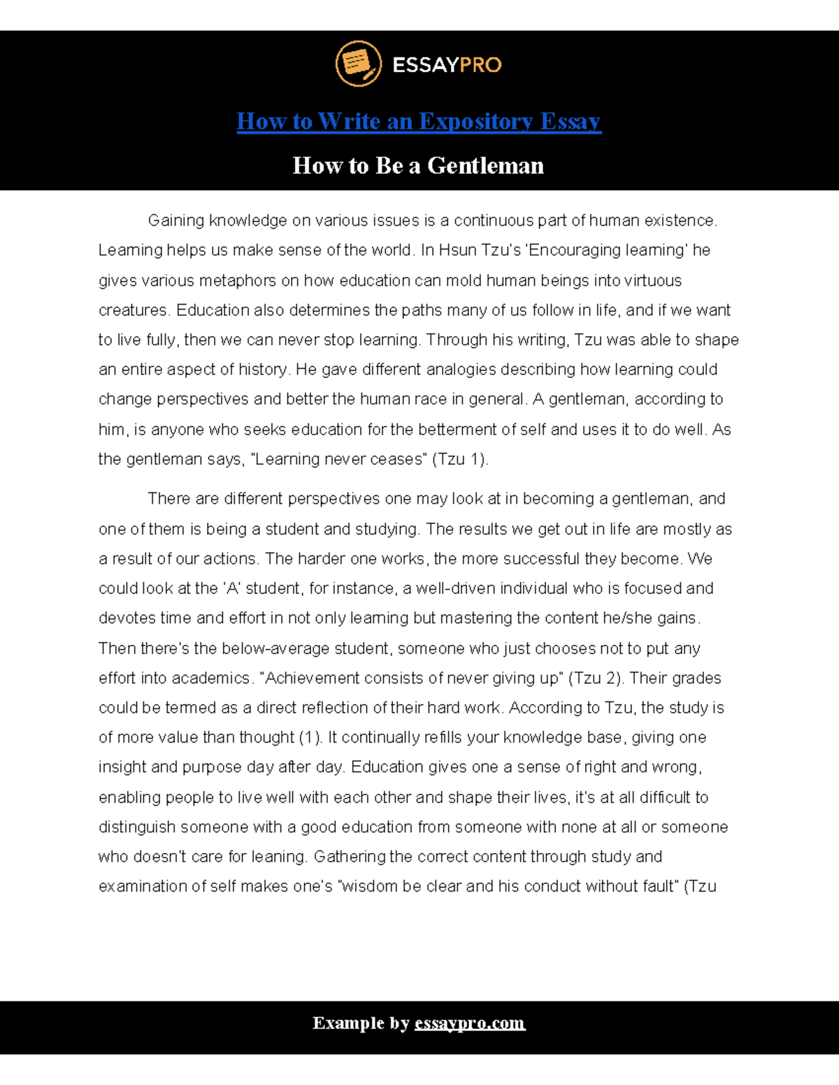 Expository-essay-example examples essays and APA citation - How to ...