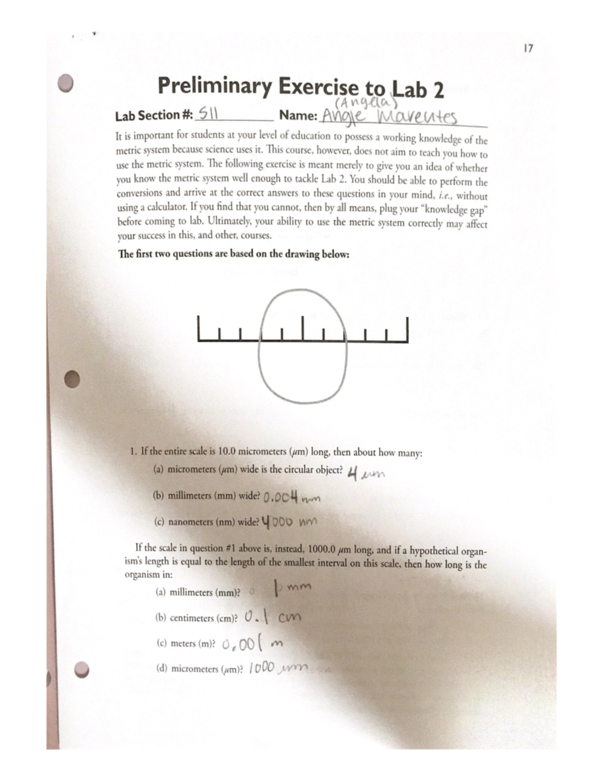 Preliminary Exercise to Lab 2 - BIOL 1403 - TTU - Studocu
